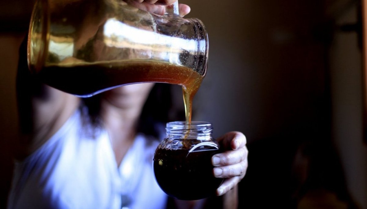 Seis efectivos tips para comer miel de forma saludable | TVN