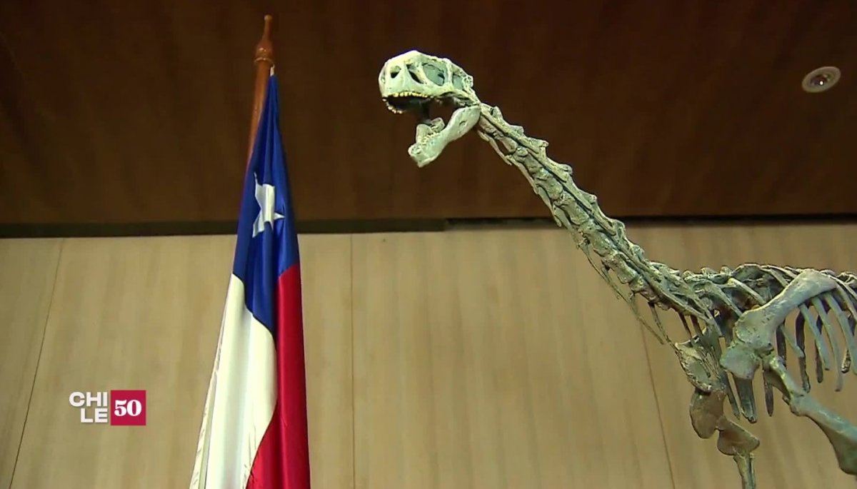 Descubrimiento del Chilesaurio: La reconstrucción de un fósil | TVN