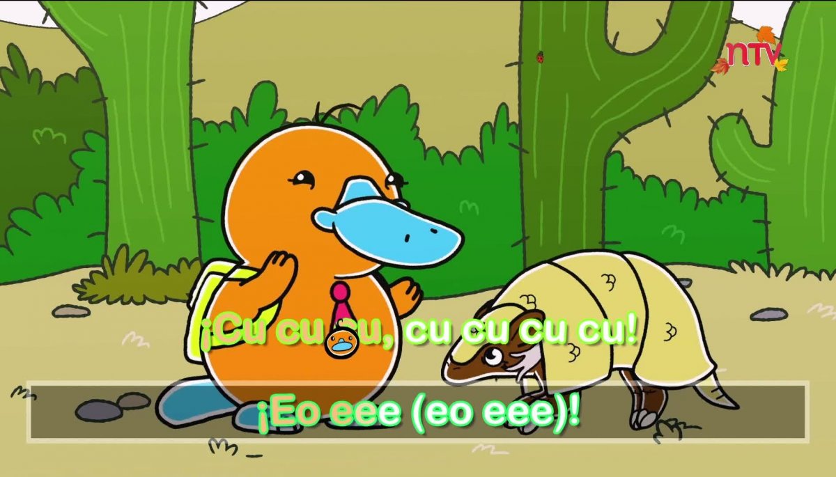 Canta Flinko Capítulo 7: "Armadillo" | TVN