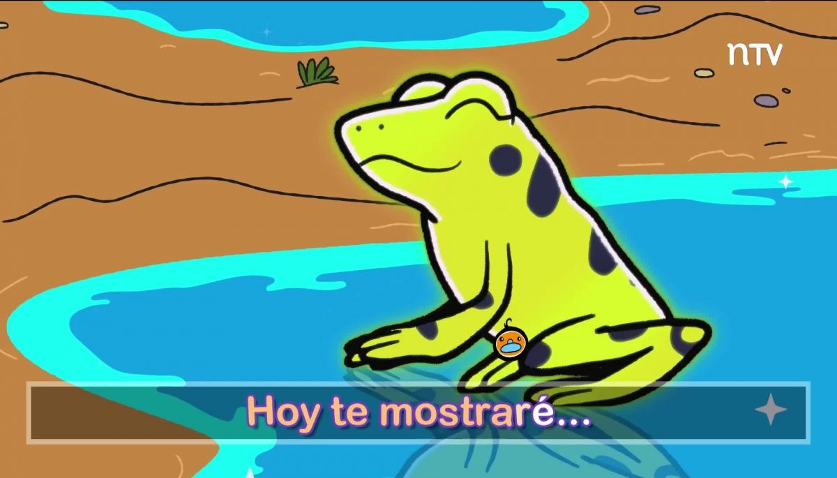 Canta Flinko Capítulo 9: "Rana" | TVN