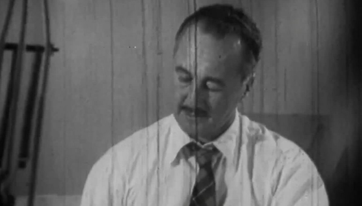 La vida es una historieta: Los dibujos de Pepo | TVN