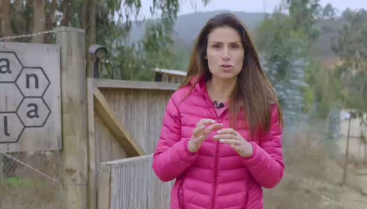 ¿Cuál es tu huella? | Ecoaldea | TVN