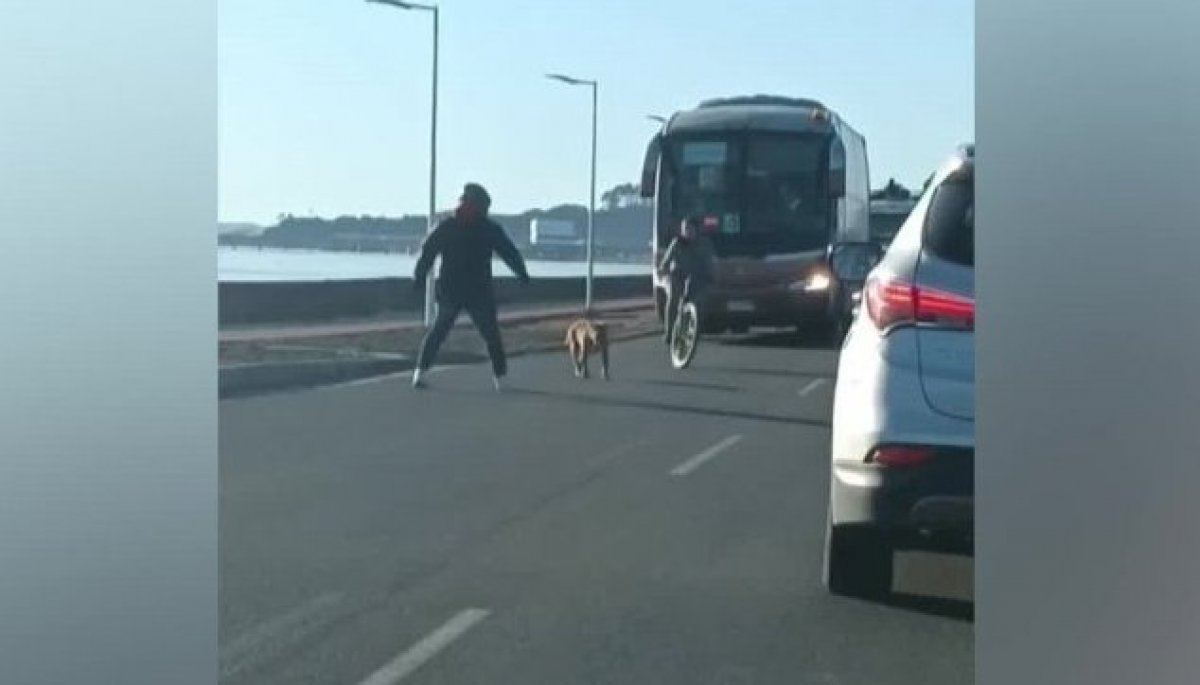 Pedro Carcuro "se puso de pie" por el temerario perro | TVN