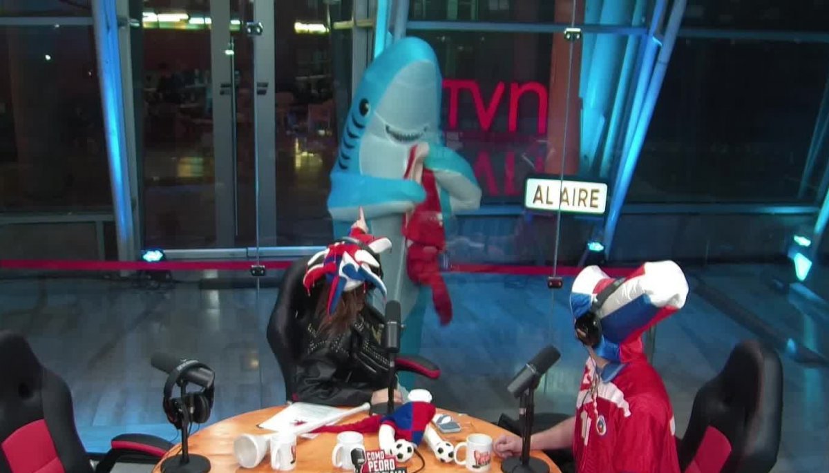 ¡Un tiburón merodeando por la pescera! | TVN