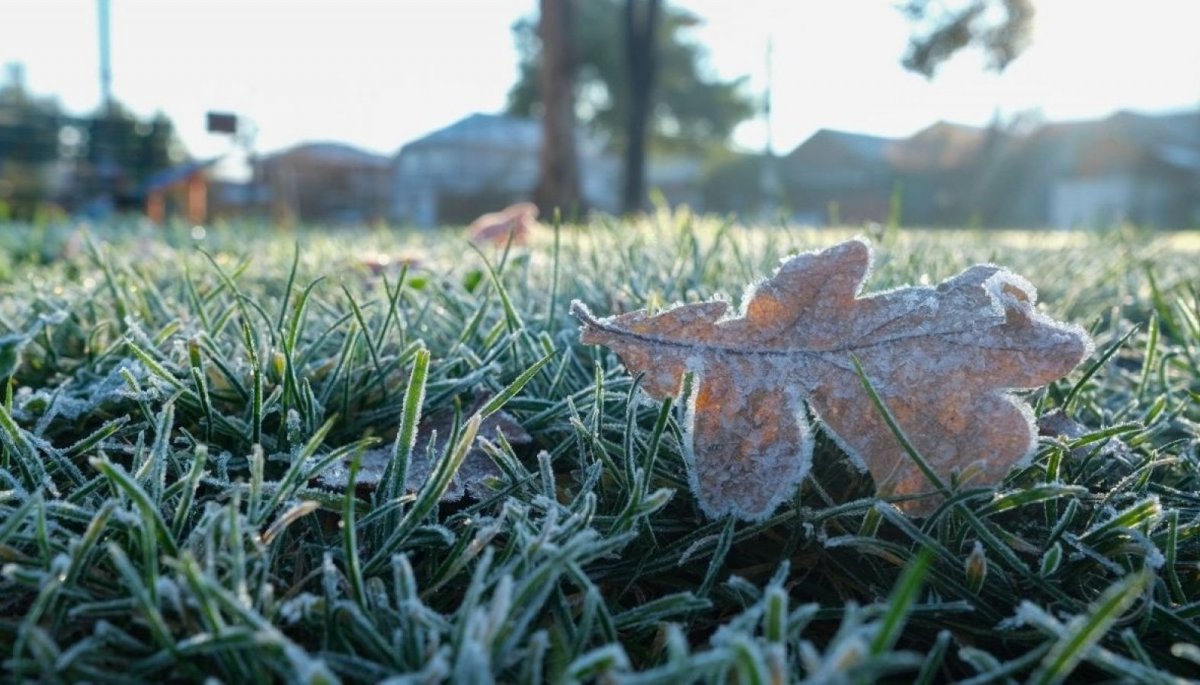 Pronostican heladas de hasta -2° para cuatro regiones del país | TVN