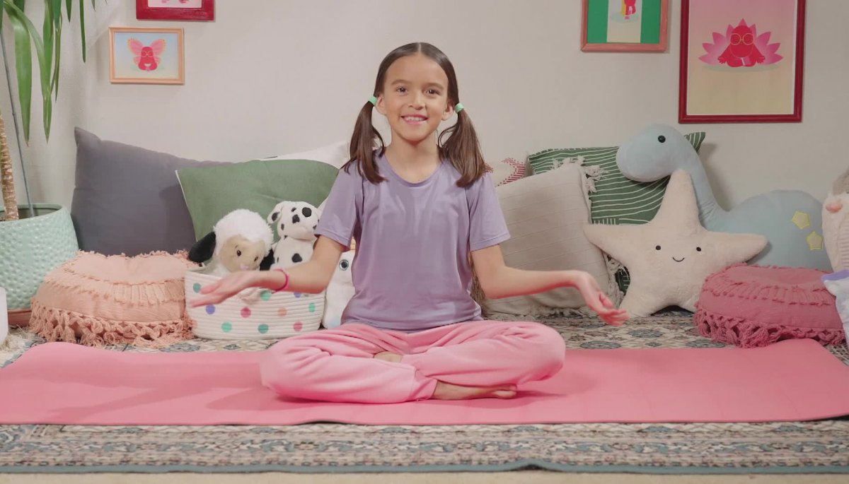 Yogui Yoguini en NTV: La Admiración | TVN