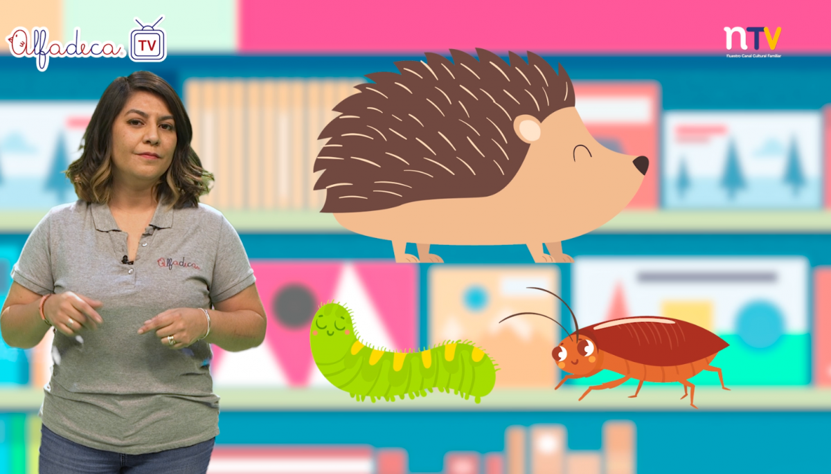 Alfadeca TV: Información explícita | TVN