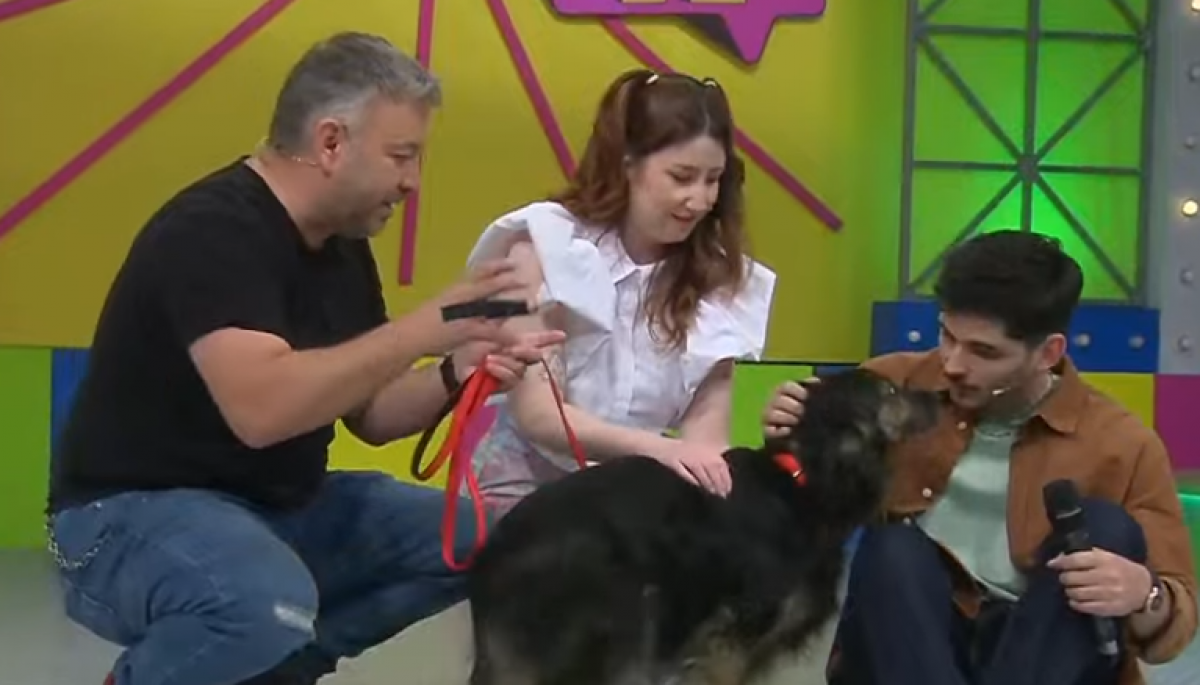"Cololo" el perrito que conquistó a Efecto N | TVN