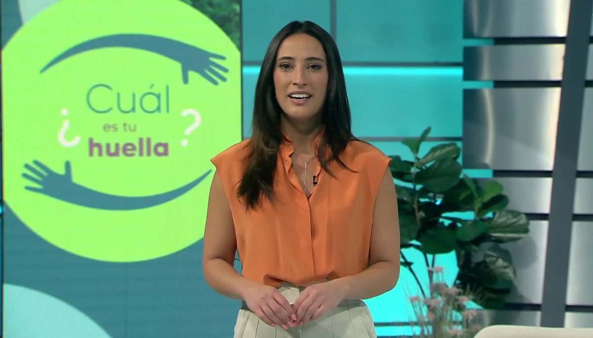 ¿Cuál es tu huella? | Voluntariado | TVN