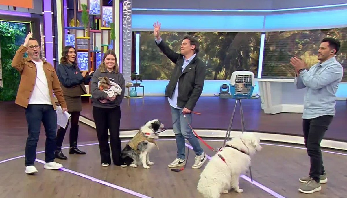 Bienvenido Sebastián Jiménez al Buenos Días a Todos | TVN