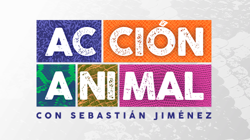 Acción Animal | TVN