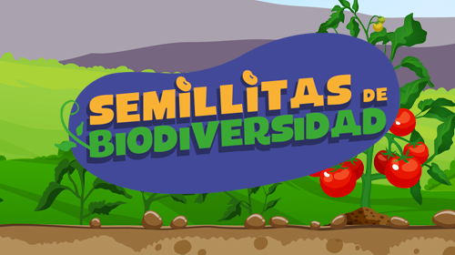SEMILLITAS | TVN