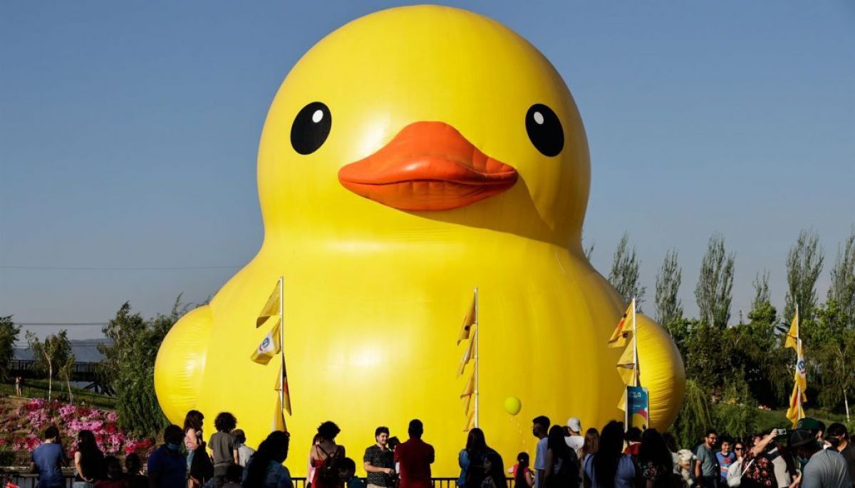 ¿Cuándo y dónde encontrarlo? Pato gigante vuelve a Santiago | TVN