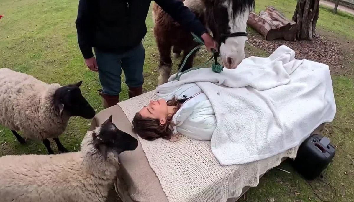 María Luisa Godoy nos presenta una granja que salva vidas | TVN